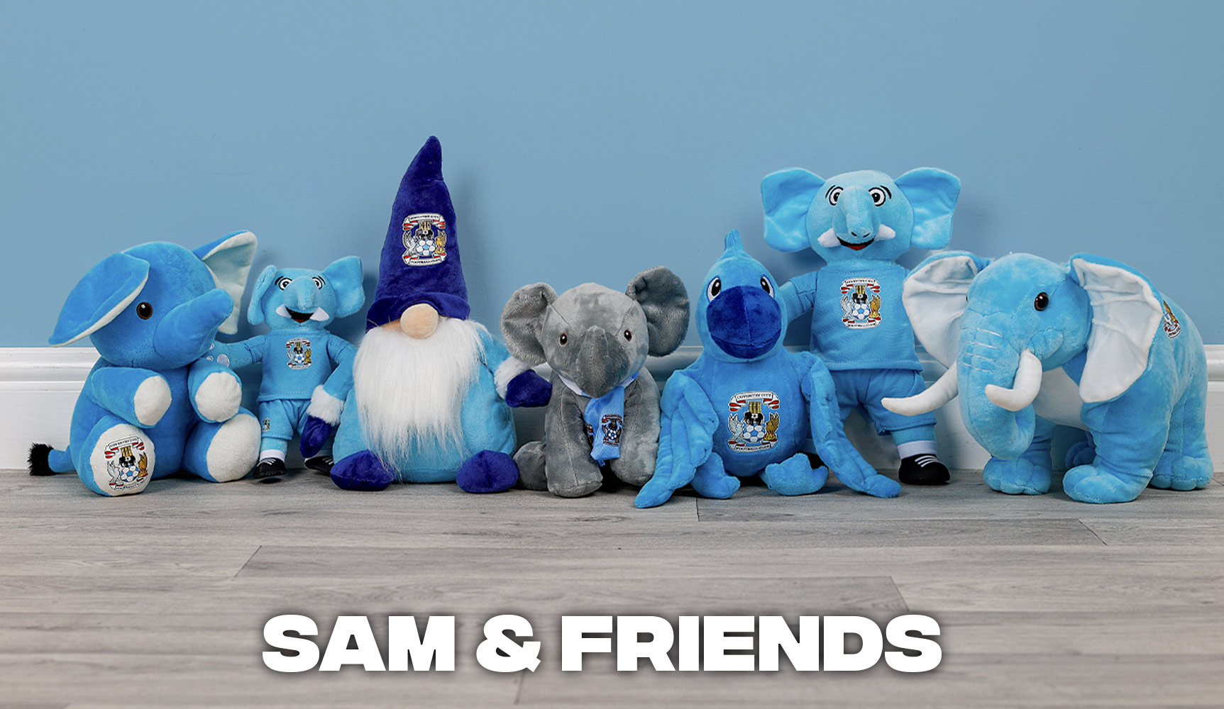 Coventry City FC Online Store | The Only Official Online Store for ...